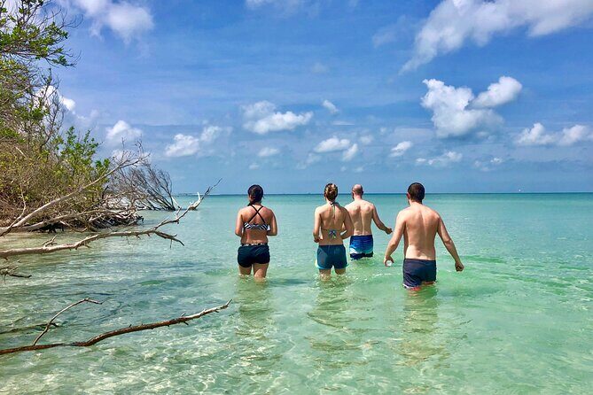 Small Group Kayak Tour of the Shell Key Preserve - What Makes It Stand Out