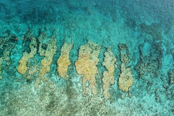 Small Group Key West Snorkel Adventure - Pricing and Value