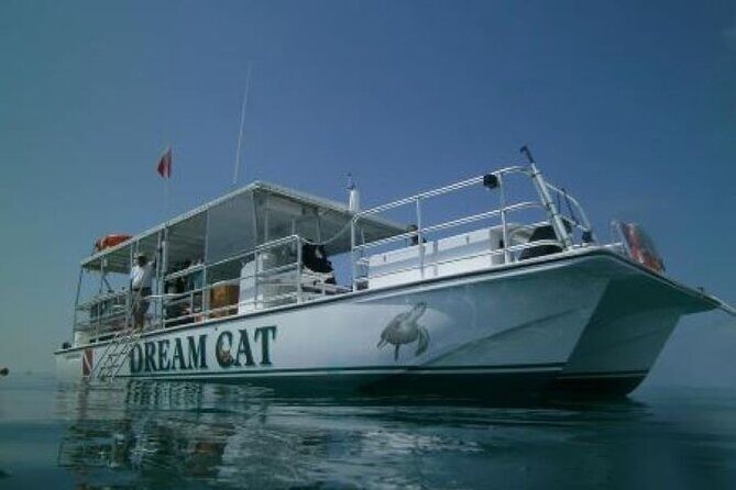 Small Group Key West Snorkel Adventure - The Experience in Practice