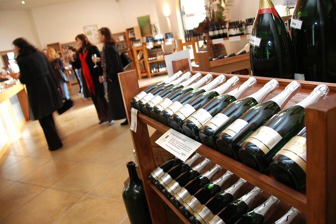 Small-Group Kumeu Wine Country Tour with Wine Tastings & Lunch - A Closer Look at the Itinerary