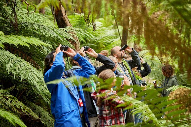 Small Group Luxe Bus Great Ocean Road Coastal Spectacular Tour - What’s Included and What’s Not
