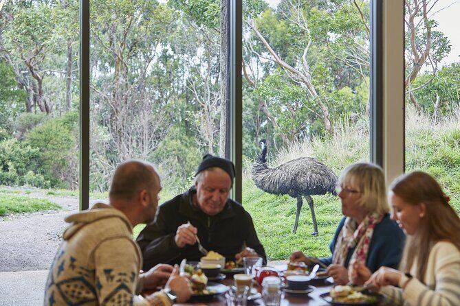 Small Group Luxe Bus Great Ocean Road Coastal Spectacular Tour - Insights from Travelers and Their Experiences