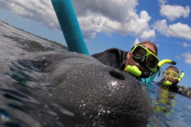 Small Group Manatee Snorkel Tour with In-Water Guide and Photographer - Setting the Stage for a Unique Marine Encounter
