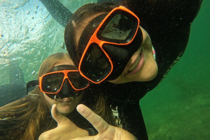 Small Group Manatee Swim Tour With Free Photos - Key Points