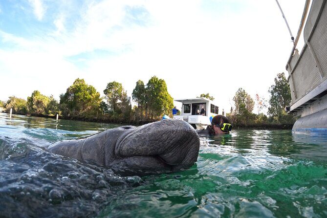 Small Group Manatee Swim Tour With Free Photos - The Itinerary in Detail