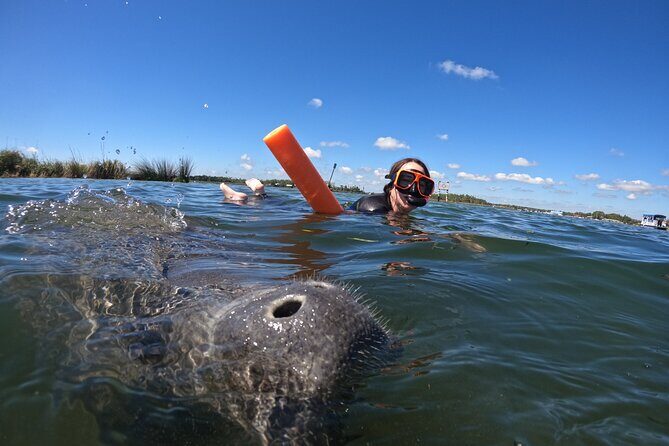 Small Group Manatee Swim Tour With Free Photos - Why This Tour Offers Great Value