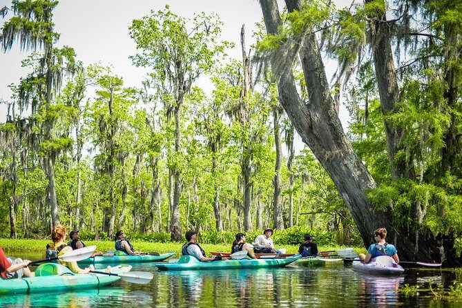 Small-Group Manchac Swamp Kayak Tour with Local Guide - Group Size and Atmosphere