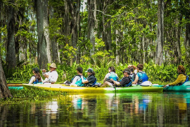 Small-Group Manchac Swamp Kayak Tour with Local Guide - Wildlife Encounters and What You Might See
