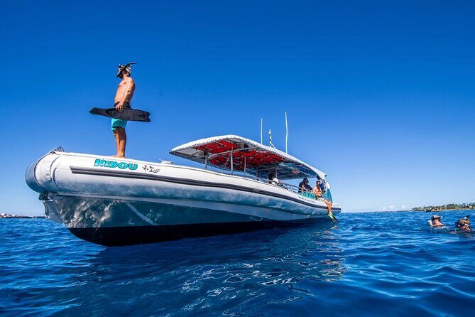 Small-Group Manta Ray Night Snorkel from Kona - Cost and Value