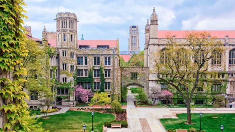 Small Group Max 12: Chicago Architecture and Aesthetics Tour - Public Spaces and Cultural Landmarks