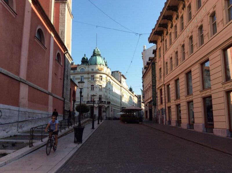 Small Group (Max 6): Ljubljana Hidden Gems Tour from Koper - Who Will Love This Tour?