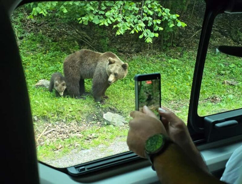 Small group max 7 - Bears Safari on Top Gear -Transfgran - Frequently Asked Questions (FAQs)