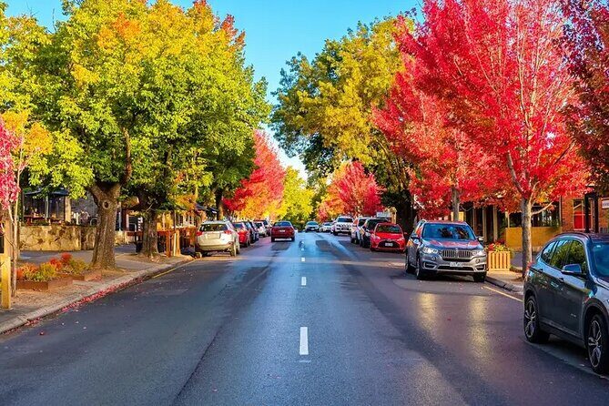 Small Group McLaren Vale and Hahndorf Tour - Key Points