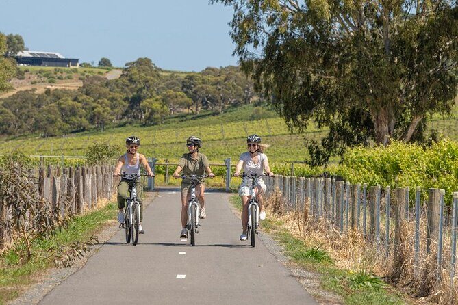 Small Group McLaren Vale and The Cube Experience - Final Thoughts