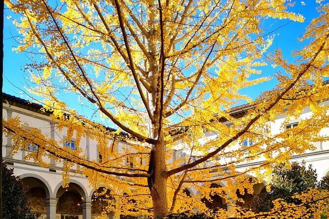 Small Group Medici and Michelangelo Tour in Florence - Exploring Florence with a Focus on Culture and Power