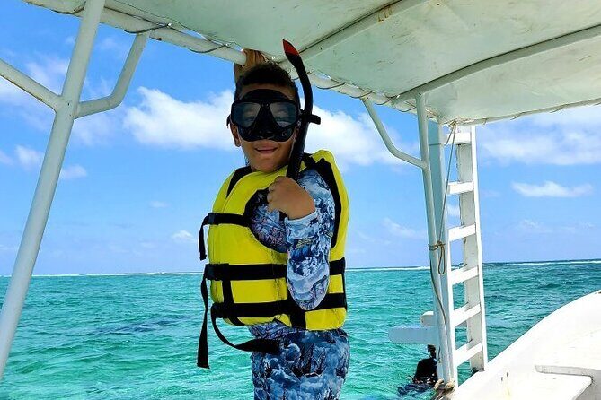 Small-Group Mesoamerican Barrier Reef Snorkeling in Puerto Morelos - The Experience in Detail