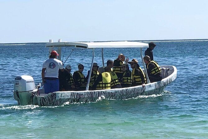 Small-Group Mesoamerican Barrier Reef Snorkeling in Puerto Morelos - Why This Tour Is a Great Choice