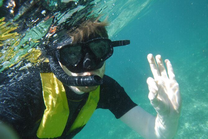 Small-Group Mesoamerican Barrier Reef Snorkeling in Puerto Morelos - Final Thoughts