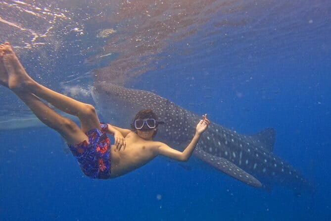 Small Group Moalboal and Badians Ultimate Adventure Tour - FAQs