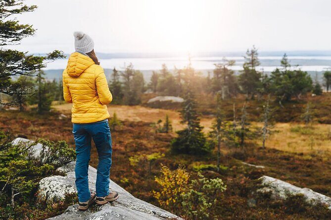 Small-Group Moose Wild Safari from Rovaniemi - The Practicalities: What Travelers Need to Know