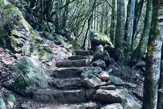 Small Group Mountain Day Trip - Considerations for Travelers