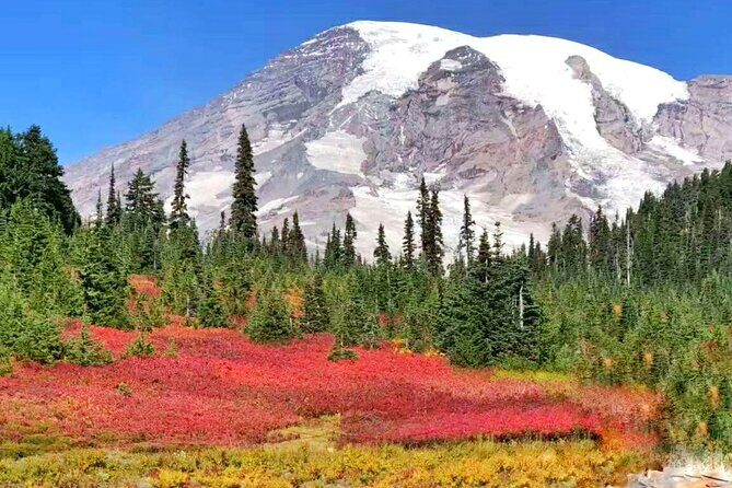 Small Group Mt Rainier National Park Day Tour from Seattle 2CanGo - Considerations: Weather and Seasonal Changes