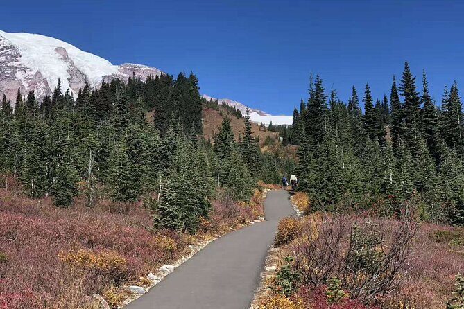 Small Group Mt Rainier National Park Day Tour from Seattle 2CanGo - Reviews: Real Insights from Travelers