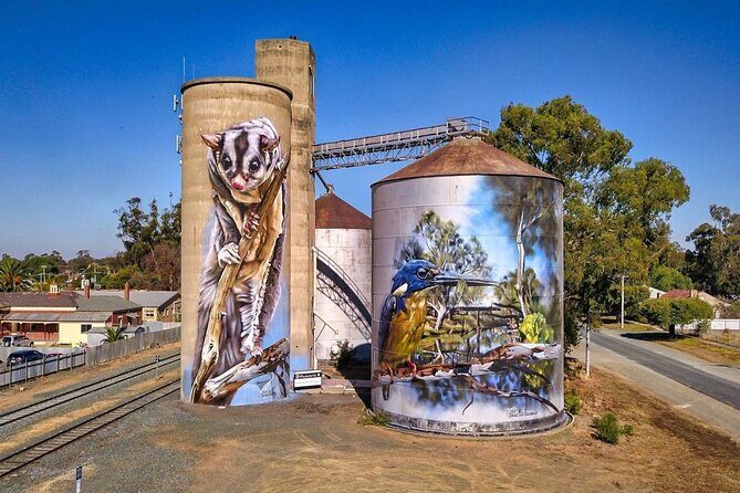 Small-Group Murray River Adventure - Paddle Steamer & Wildlife - Exploring the Murray River Adventure: A Step-by-Step Guide