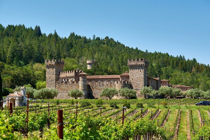 Small Group Napa Valley Tour for Wine Lovers - An In-Depth Look at the Tour Experience