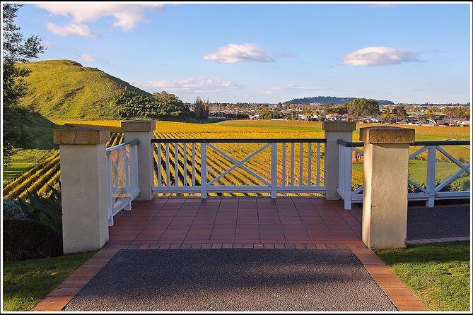 Small group - Napier, Wine, Beer & Cider Tour - 5.0 - 5.5 hours - What Makes This Tour Stand Out