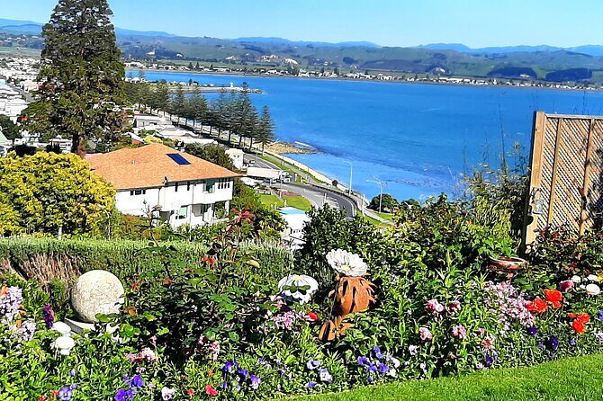 Small group - Napier, Wine, Beer & Cider Tour - 5.0 - 5.5 hours - FAQ