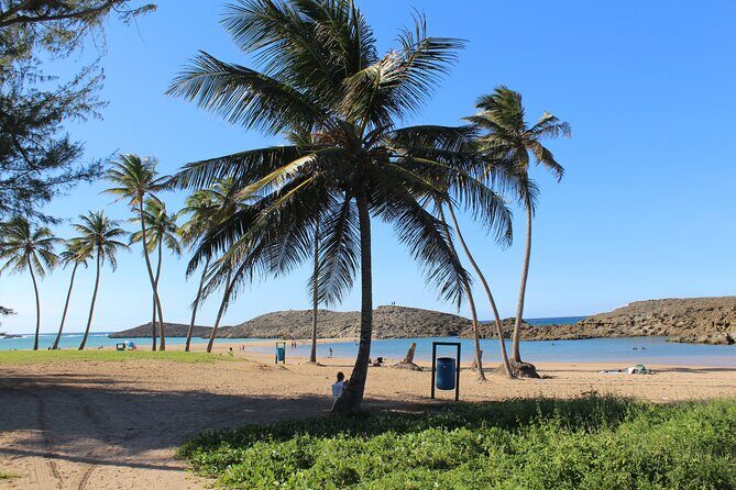 Small-Group North Coast Beach Hopping Adventure in Puerto Rico - Who Will Love This Tour?