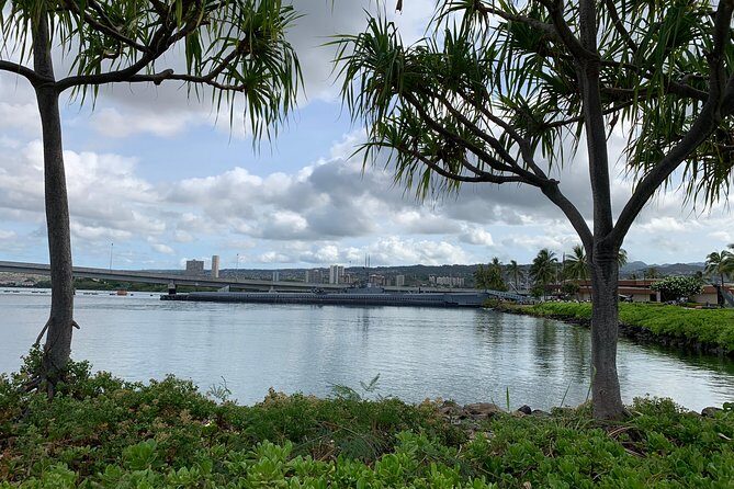 Small Group-Oahu Tour, Dole Plantation, Northshore, Sunset Beach - What Travelers Are Saying