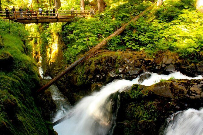 Small Group Olympic National Park Day Tour from Seattle 2CanGo - Why This Tour Is Worth Considering