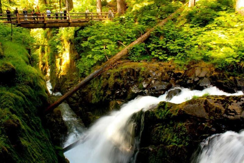 Small Group: Olympic National Park Day Tour From Seattle - An Overview of the Olympic National Park Day Tour