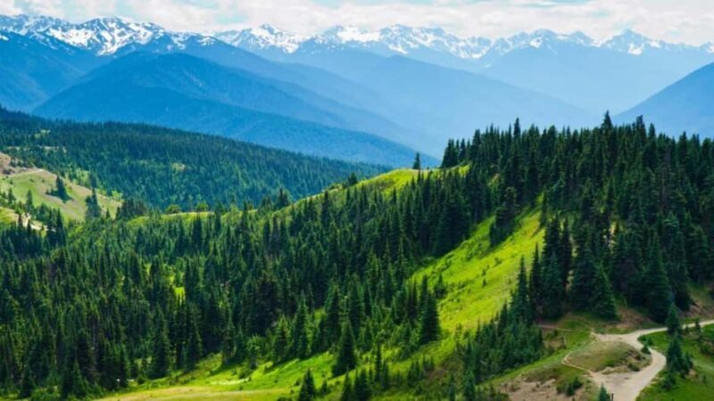 Small Group: Olympic National Park Day Tour From Seattle - Why This Tour Excels: Highlights and Practicalities