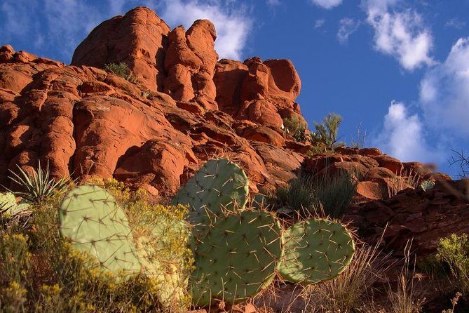 Small Group or Private Sedona and Native American Ruins Day Tour - The Sum Up