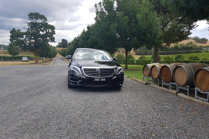 Small Group Personalised Private Tours Melbourne (up to 14 pax) - Who Should Consider This Tour?