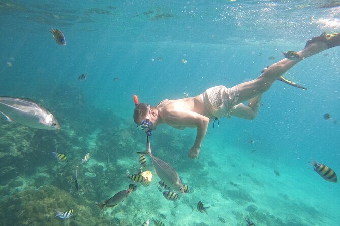 Small Group Phi Phi Islands Sunrise Tour with Seaview Lunch - An In-Depth Look at the Experience