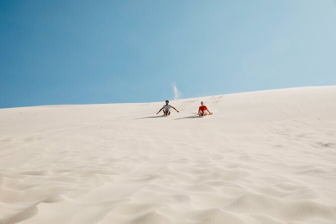 Small Group Port Stephens + Dolphins + 4WD/sandboarding ex Sydney - The The Sum Up: Who Will Love This Tour?