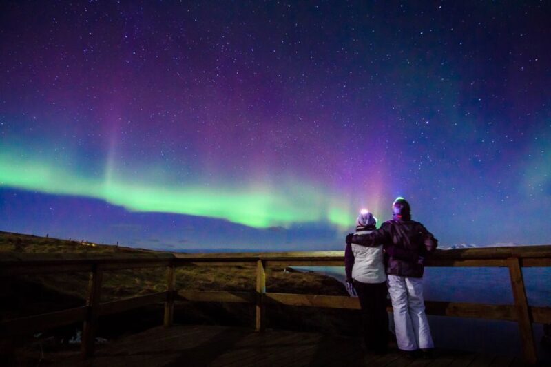 Small-Group Premium Northern Lights Tour from Reykjavik - The Sum Up
