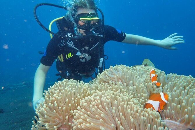 Small Group Private 3 Dives in Tulamben Best Spot - Key Points