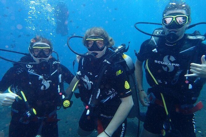 Small Group Private 3 Dives in Tulamben Best Spot - How Valuable Is This Tour?