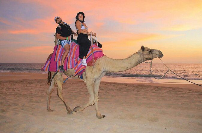 Small Group Private Camel Ride and Beach Adventure in Migrino - The Itinerary – Step by Step