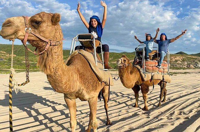Small Group Private Camel Ride and Beach Adventure in Migrino - What Do the Reviews Say?