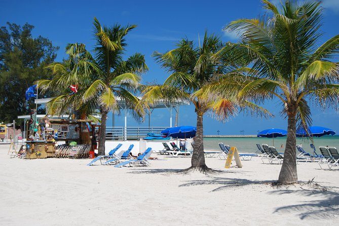 Small-group private Key West tour with expert guide - The Route and Key Stops: What You’ll See and Do