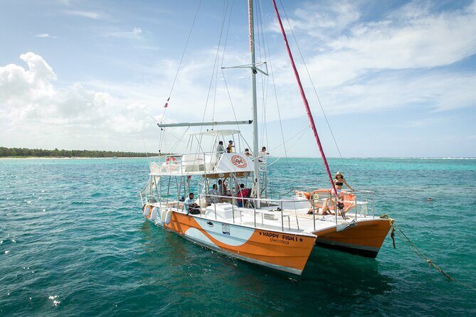 Small Group Punta Cana Snorkeling with Premium Open Bar - Key Points