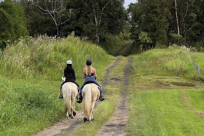 Small Group Rainforest Trail Ride - Small Group Rainforest Trail Ride: A Detailed Look