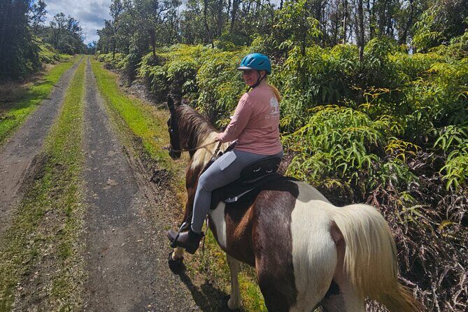 Small Group Rainforest Trail Ride - Key Points