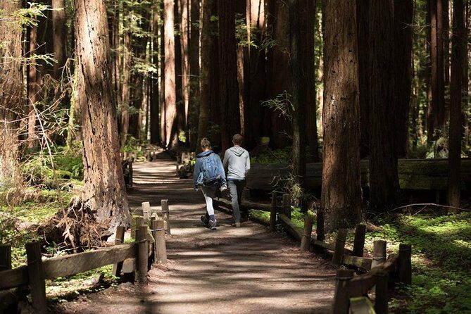 Small Group Redwoods, California Coast & Sausalito Day Trip from San Francisco - Key Highlights of the Tour